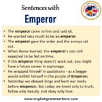Sentences with Emperor, Emperor in a Sentence in English, Sentences For ...