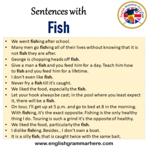 Sentences with Fish, Fish in a Sentence in English, Sentences For Fish ...