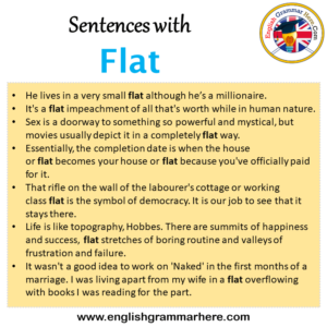 Sentences with Flat, Flat in a Sentence in English, Sentences For Flat ...