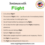 Sentences with Flight, Flight in a Sentence in English, Sentences For ...