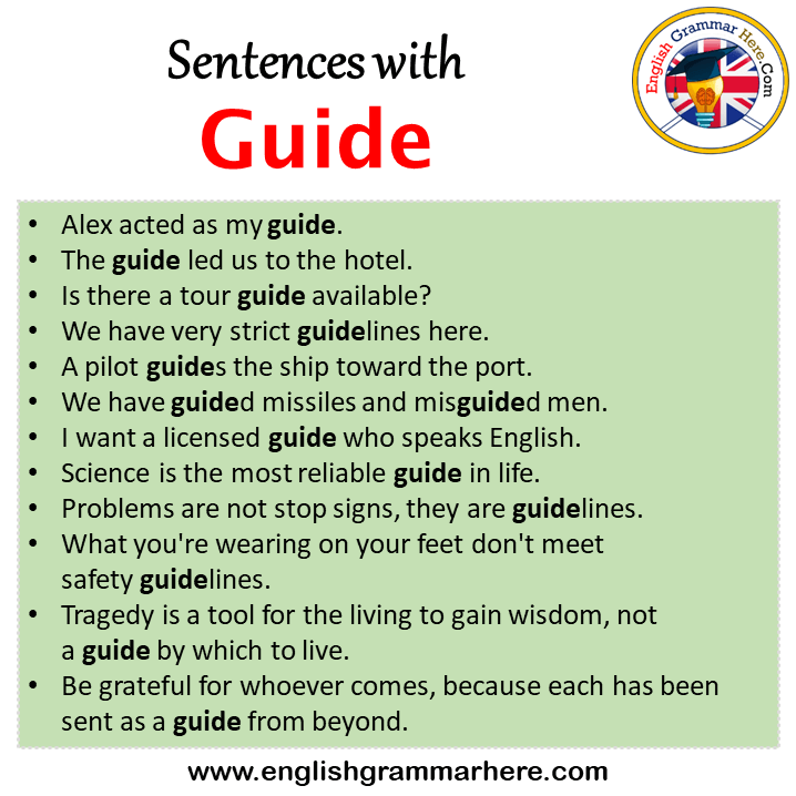 Sentences With Guide Guide In A Sentence In English Sentences For 