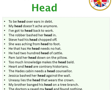 Head in a Sentence in English Archives - English Grammar Here