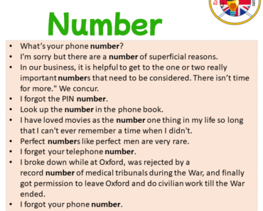 Number in a Sentence in English Archives - English Grammar Here