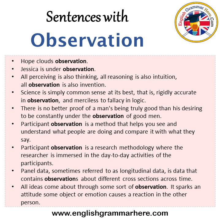 Sentences With Became Became In A Sentence In English Sentences For