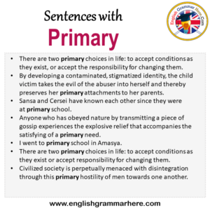 Sentences with Primary, Primary in a Sentence in English, Sentences For ...
