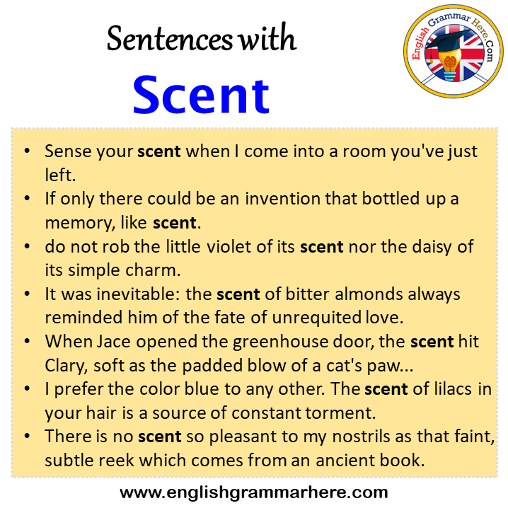Sentences With Creative Creative In A Sentence In English Sentences Sentences With Creative Creative In A Sentence In English Sentences