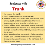 Sentences with Trunk, Trunk in a Sentence in English, Sentences For ...
