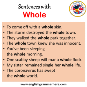 Sentences with Whole, Whole in a Sentence in English, Sentences For ...