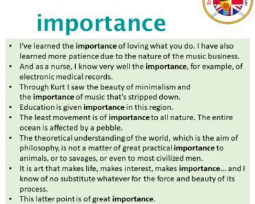 Sentences with importance Archives - English Grammar Here