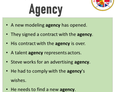 Sentences with Agency Archives - English Grammar Here