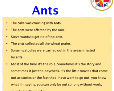 Ants in a Sentence in English Archives - English Grammar Here