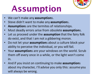 Assumption in a Sentence in English Archives - English Grammar Here