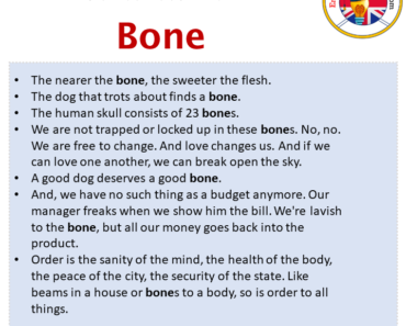 Sentences with Bone Archives - English Grammar Here