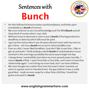 Sentences with Bunch, Bunch in a Sentence in English, Sentences For ...