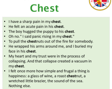 Chest in a Sentence in English Archives - English Grammar Here