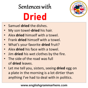 Sentences with Dried, Dried in a Sentence in English, Sentences For ...