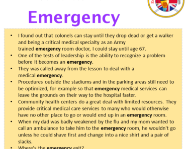 Sentences with Emergency Archives - English Grammar Here
