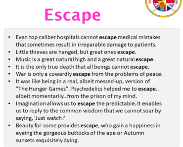 Sentences with Escape Archives - English Grammar Here