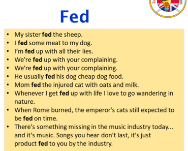 Fed in a Sentence in English Archives - English Grammar Here