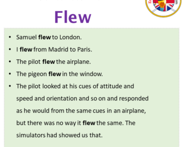 Flew in a Sentence in English Archives - English Grammar Here