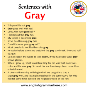 Sentences with Gray, Gray in a Sentence in English, Sentences For Gray ...