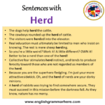 Sentences with Herd, Herd in a Sentence in English, Sentences For Herd ...
