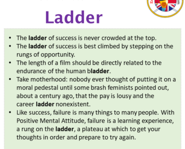 Sentences with Ladder Archives - English Grammar Here
