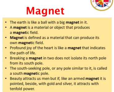 Sentences with Magnet Archives - English Grammar Here