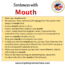 Sentences with Mouth, Mouth in a Sentence in English, Sentences For ...