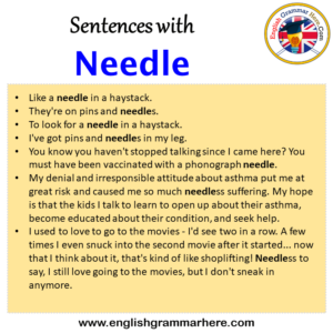 Sentences with Needle, Needle in a Sentence in English, Sentences For ...