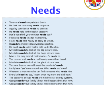 Sentences with Needs Archives - English Grammar Here