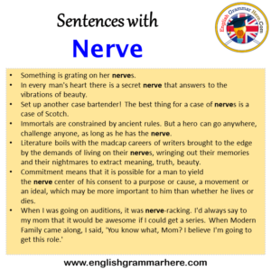 Sentences with Nerve, Nerve in a Sentence in English, Sentences For ...