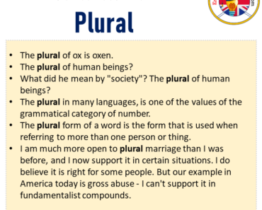 Sentences with Plural Archives - English Grammar Here