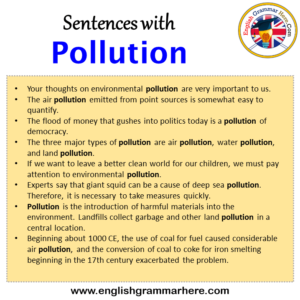 Sentences with Pollution, Pollution in a Sentence in English, Sentences ...