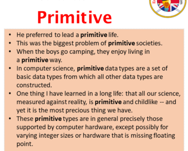 Primitive in a Sentence in English Archives - English Grammar Here