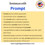 Sentences with Prompt, Prompt in a Sentence in English, Sentences For ...