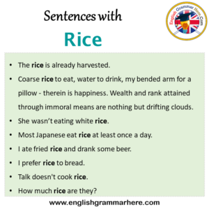 Sentences with Rice, Rice in a Sentence in English, Sentences For Rice ...