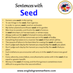 Sentences with Seed, Seed in a Sentence in English, Sentences For Seed ...
