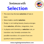 Sentences with Selection, Selection in a Sentence in English, Sentences ...