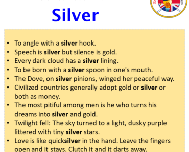 Silver in a Sentence in English Archives - English Grammar Here