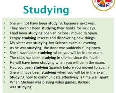 Studying in a Sentence in English Archives - English Grammar Here