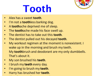 Sentences For Tooth Archives - English Grammar Here