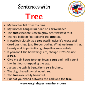 Sentences with Tree, Tree in a Sentence in English, Sentences For Tree ...