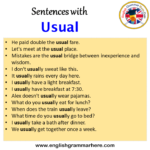Sentences with Usual, Usual in a Sentence in English, Sentences For ...