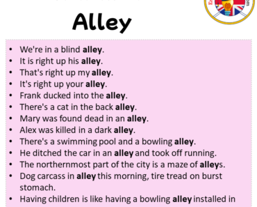 Alley in a Sentence in English Archives - English Grammar Here