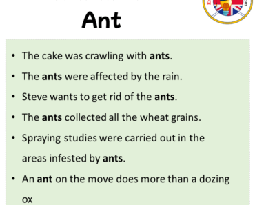Sentences For Ant Archives - English Grammar Here