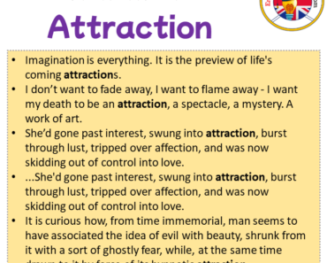 Attraction in a Sentence in English Archives - English Grammar Here