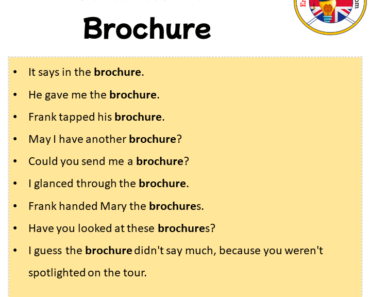 Sentences with Brochure Archives - English Grammar Here