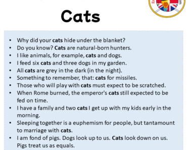 Sentences with Cats Archives - English Grammar Here