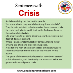 Sentences with Crisis, Crisis in a Sentence in English, Sentences For ...